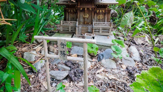 【長野・松本】住宅街の森の中にあるお茶室 ふちあん村 無料駐車場の写真19