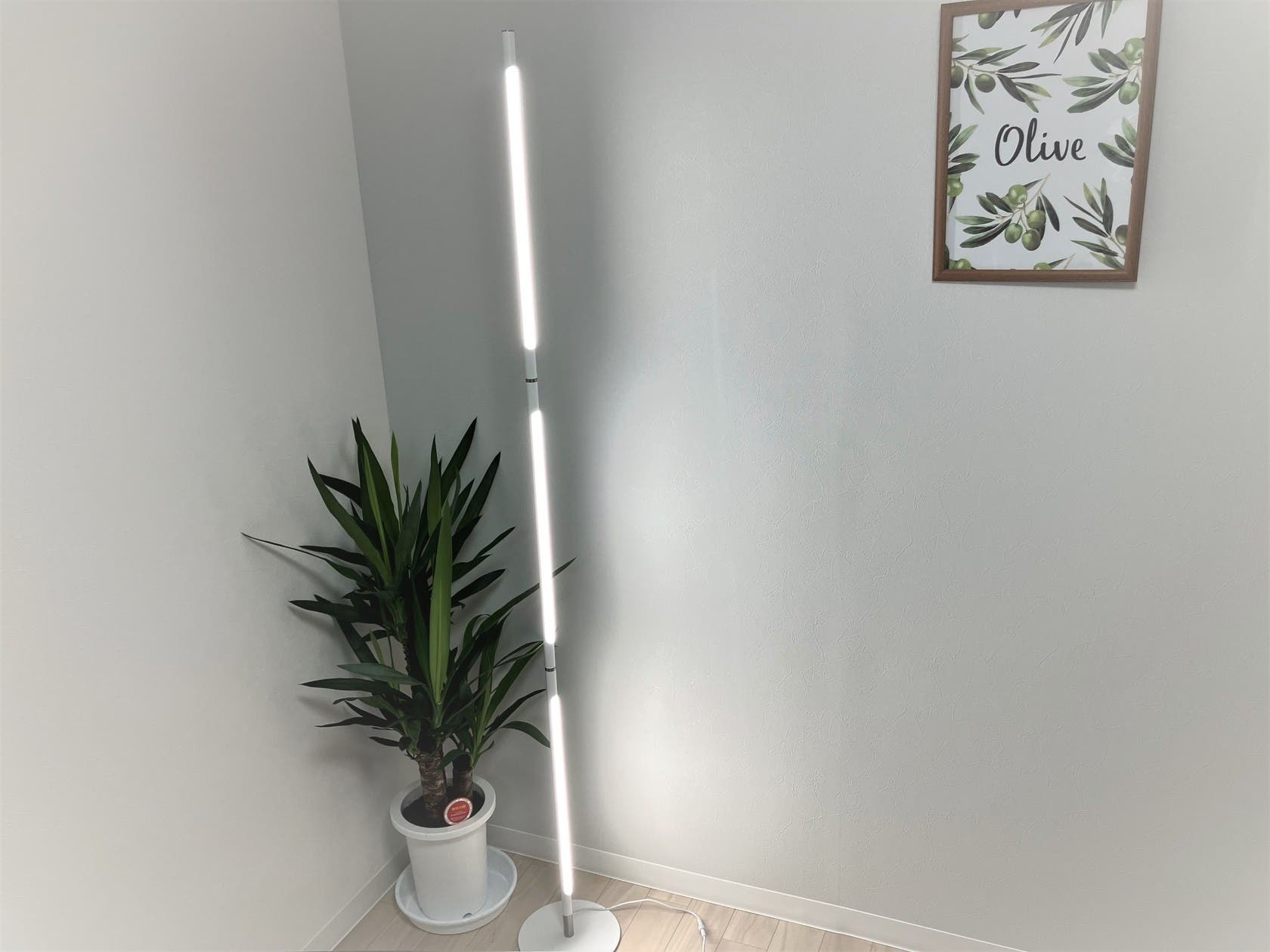 10月1日から新オーナーに代わりました。の写真18