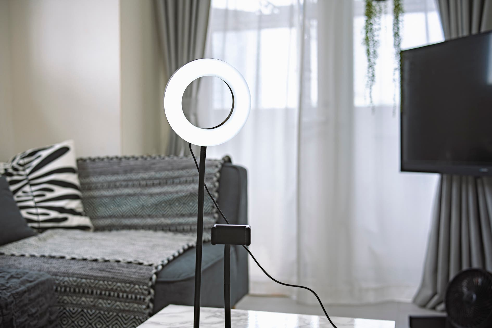 スペモ🏠🎊クリスマス🎄渋谷駅4分🚶映画鑑賞🎥プロジェクター🎬推し活💿デート😍564_JUBILEE渋谷道玄坂の写真19