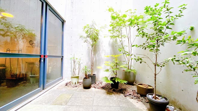 天高4m|屋外地下ガーデン|自然光|撮影・インタビュー・ワークショップ・イベント・パーティー等に最適なコンクリデザイン空間の写真16