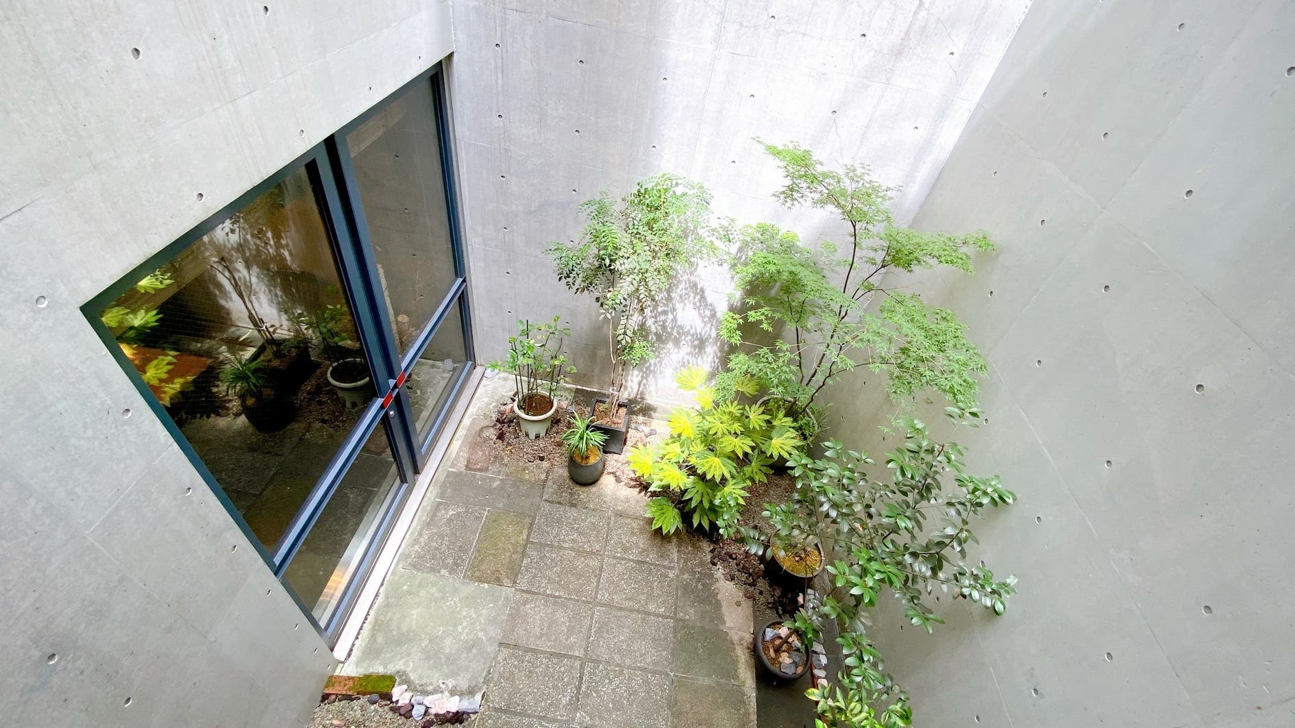 天高４m｜屋外地下ガーデン｜自然光｜撮影・インタビュー・ワークショップ・イベント・パーティー等に最適なコンクリデザイン空間の写真3