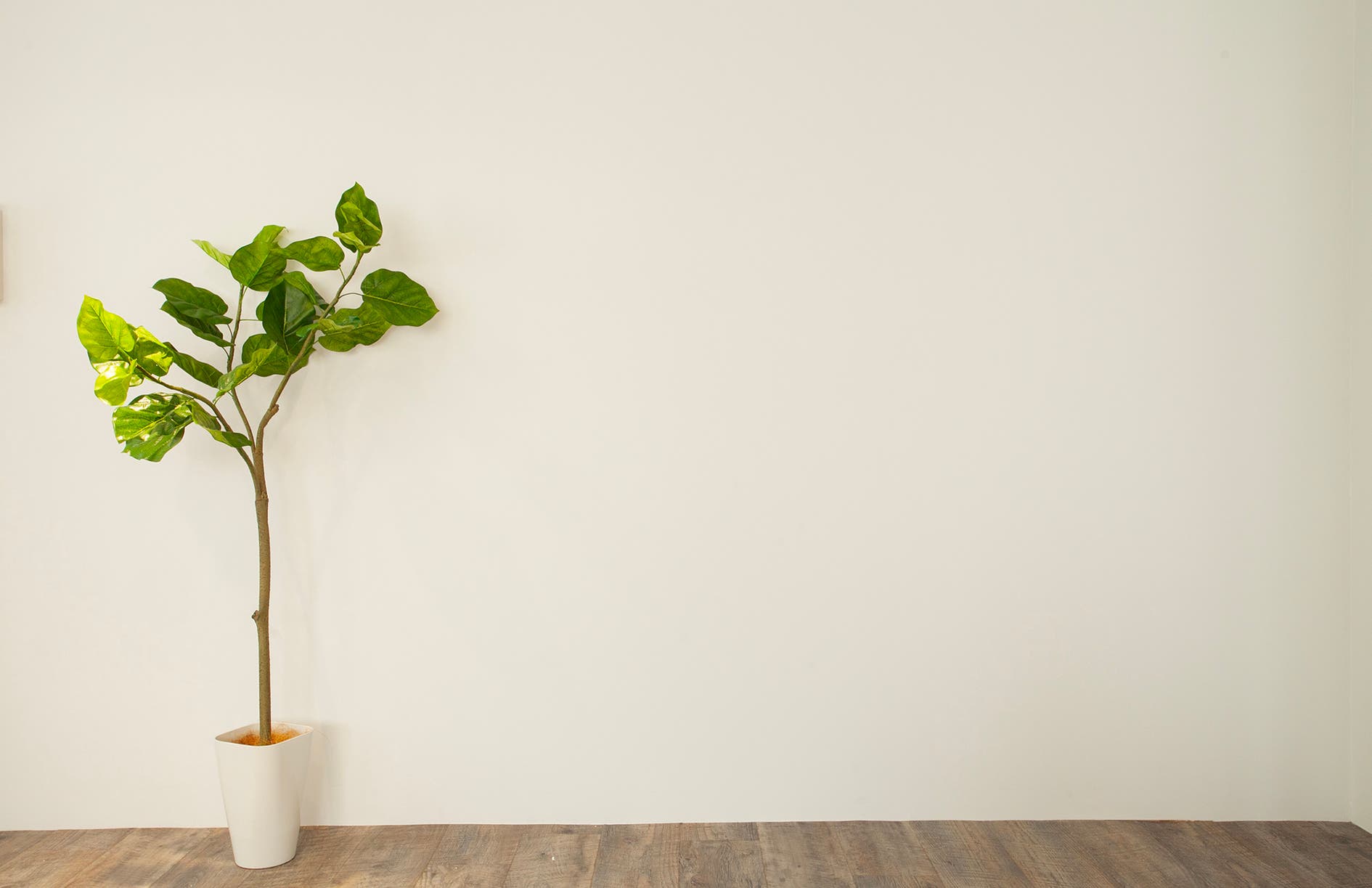 神田駅徒歩2分!/最大30名/土足利用可/会議/セミナー/面接/懇親会/ボードゲーム/女子会等/飲食お酒可/会議室KS8神田の写真29