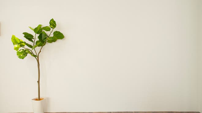 神田駅徒歩2分!/最大30名/土足利用可/会議/セミナー/面接/懇親会/ボードゲーム/女子会等/飲食お酒可/会議室KS8神田の写真29