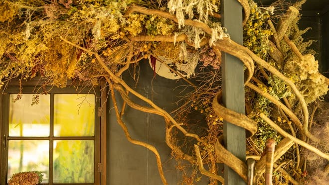 【ロケ撮影可】【ケータリング可】田んぼや森に囲まれた静かな2200坪の広々スペースを貸切の写真9