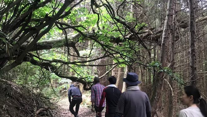 【ロケ撮影可】【ケータリング可】田んぼや森に囲まれた静かな2200坪の広々スペースを貸切の写真10