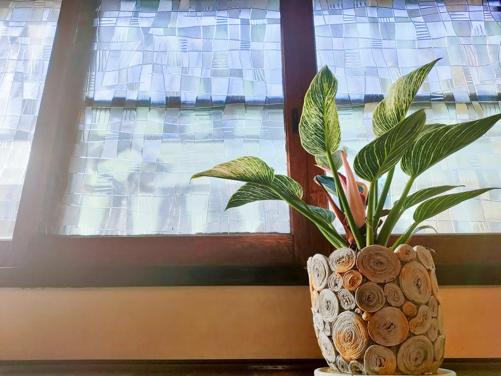 クリスマス🎄忘年会🍻受付中❣️十三駅5分🌟子ども設備付古民家｜撮影・会議・パーティー🆗の写真2