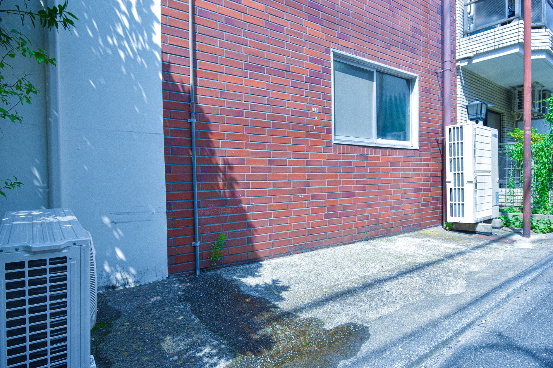 【新宿駅/新大久保駅/大久保駅】からすぐ！パーティー/ワークショップ/撮影/カフェ営業【飲食店営業許可/菓子製造業許可取得済み】の写真18