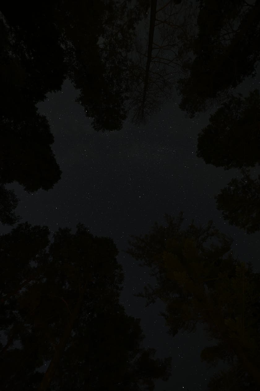 標高1,000mにある空中公園&キャンプフィールドの写真8