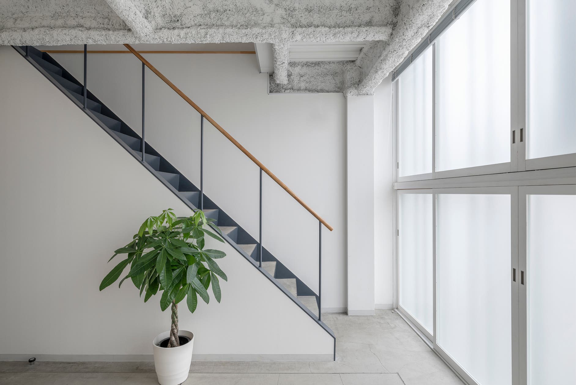 鎌倉駅徒歩10分、由比が浜大通り沿い｜北向き窓の自然光スタジオ『North Light Studio』の写真5