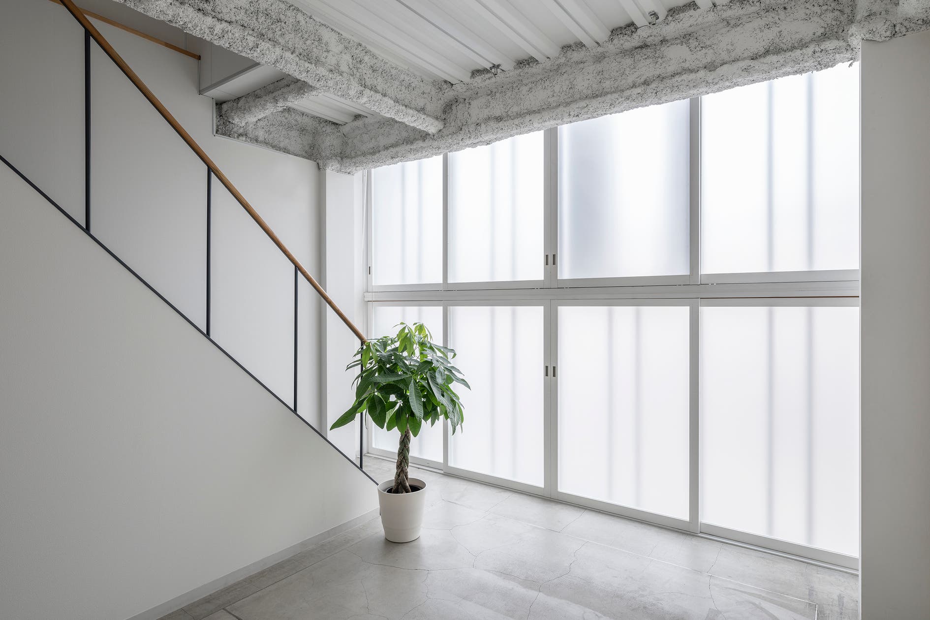 鎌倉駅徒歩10分、由比が浜大通り沿い｜北向き窓の自然光スタジオ『North Light Studio』の写真6