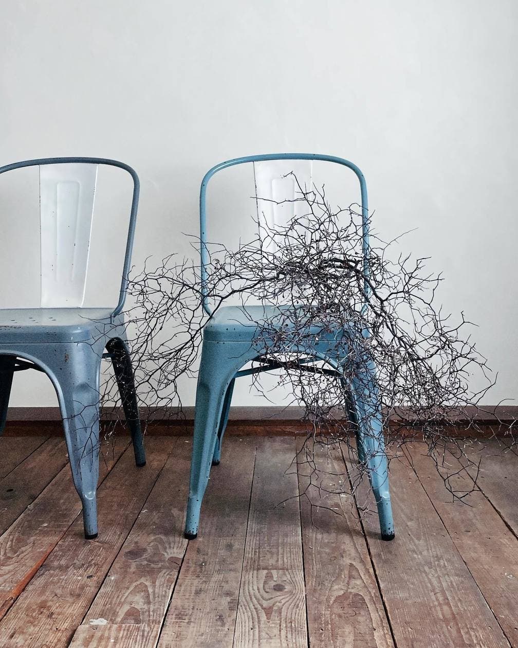 テトラグラフ写真室の写真11