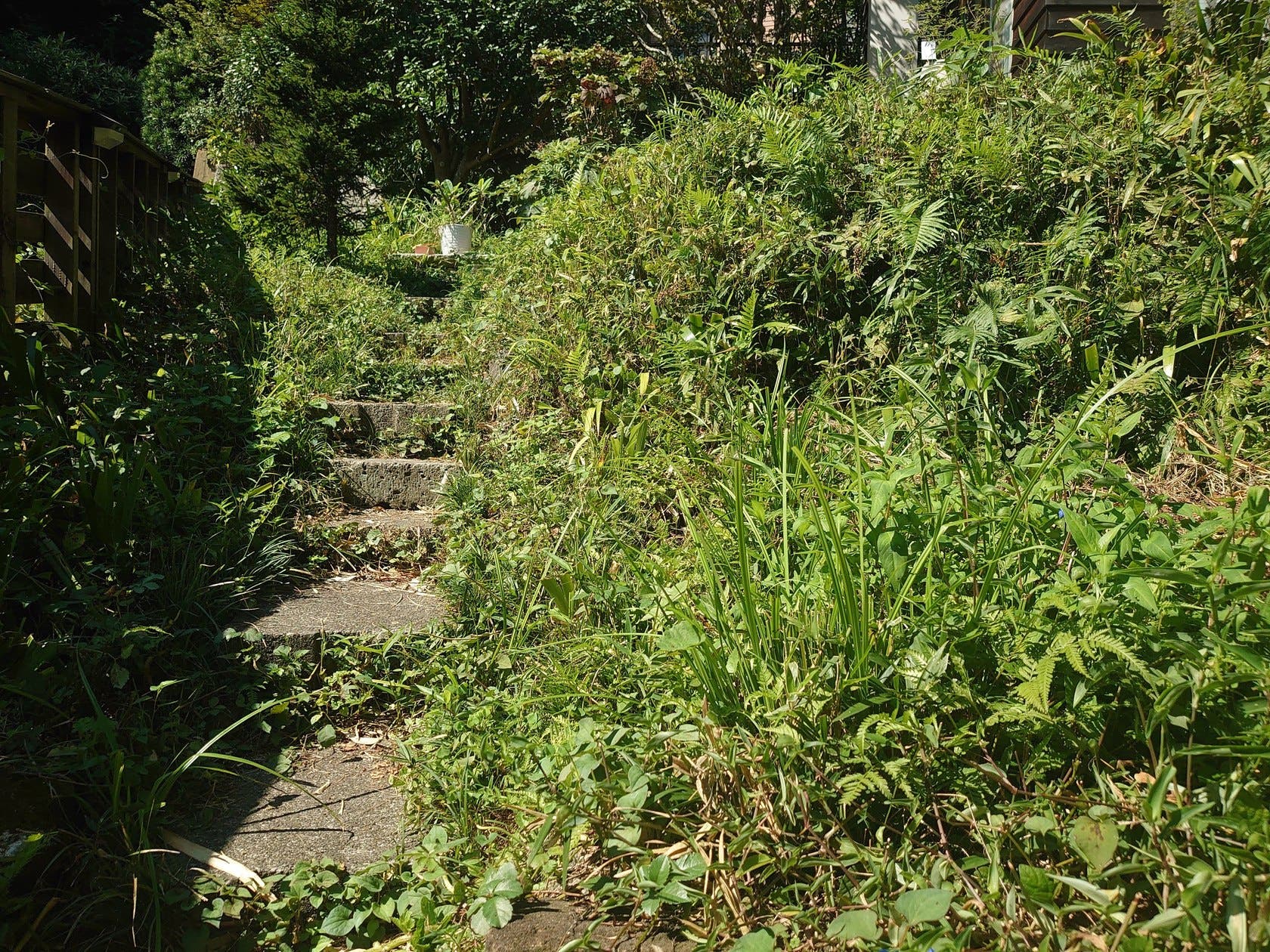 鎌倉駅から徒歩10分　二部屋使える里庭のあるレンタルスペースですの写真6