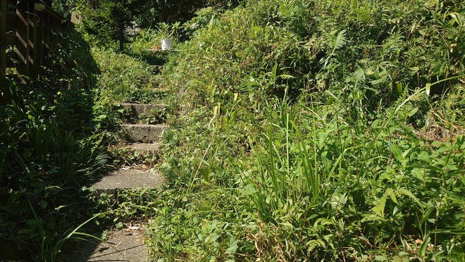 鎌倉駅から徒歩10分 二部屋使える里庭のあるレンタルスペースですの写真6