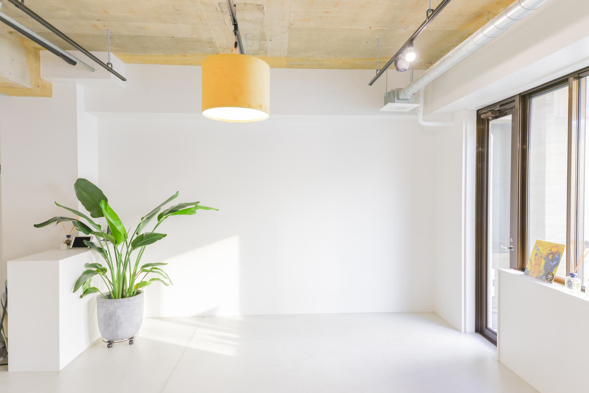 【表参道駅徒歩5分/広さ108㎡】撮影やイベント/展示会にも最適。自然光と緑が調和するまるで都心の別荘のような空間の写真7