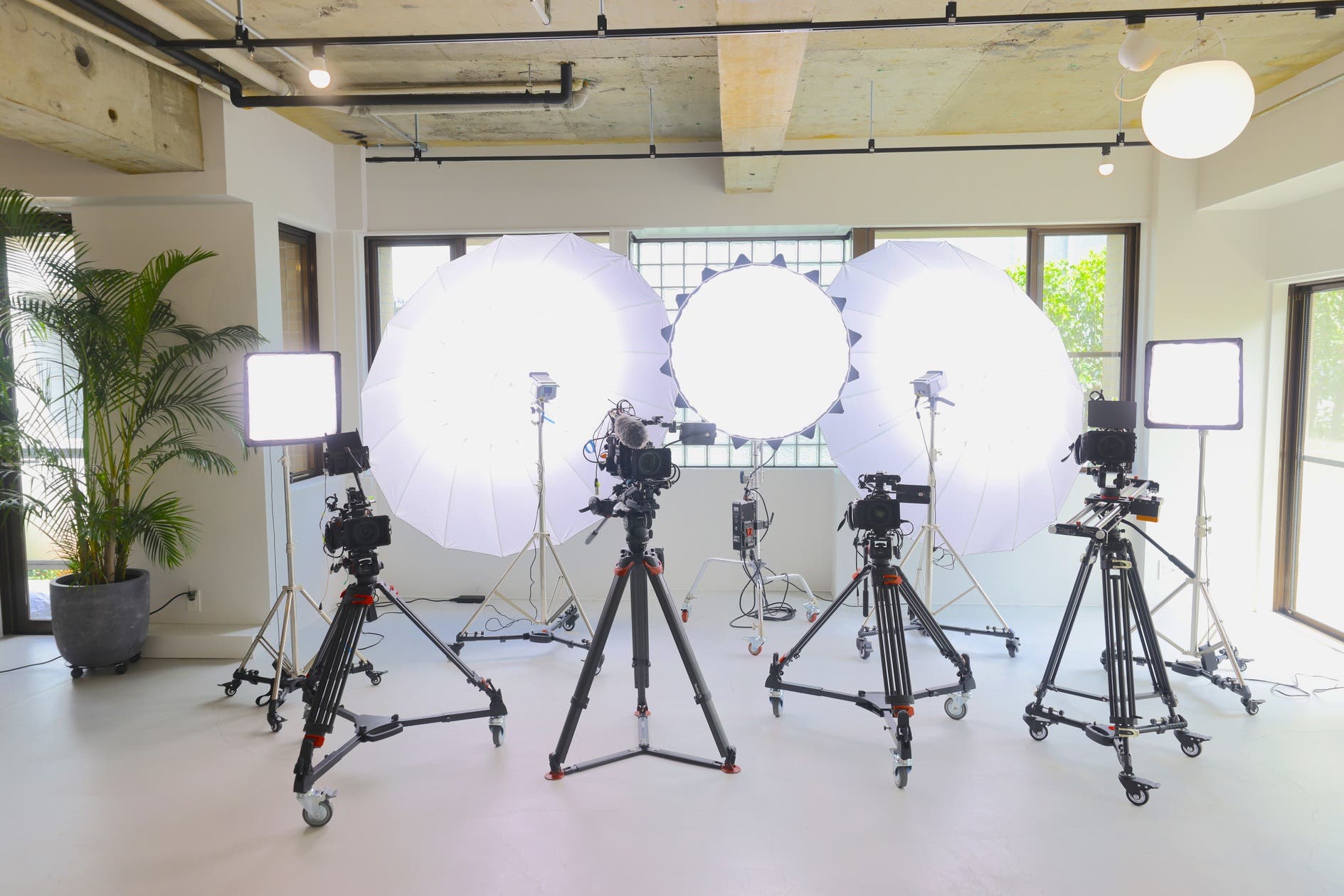 【表参道駅徒歩5分/広さ108㎡】撮影やイベント/展示会にも最適。自然光と緑が調和するまるで都心の別荘のような空間の写真10