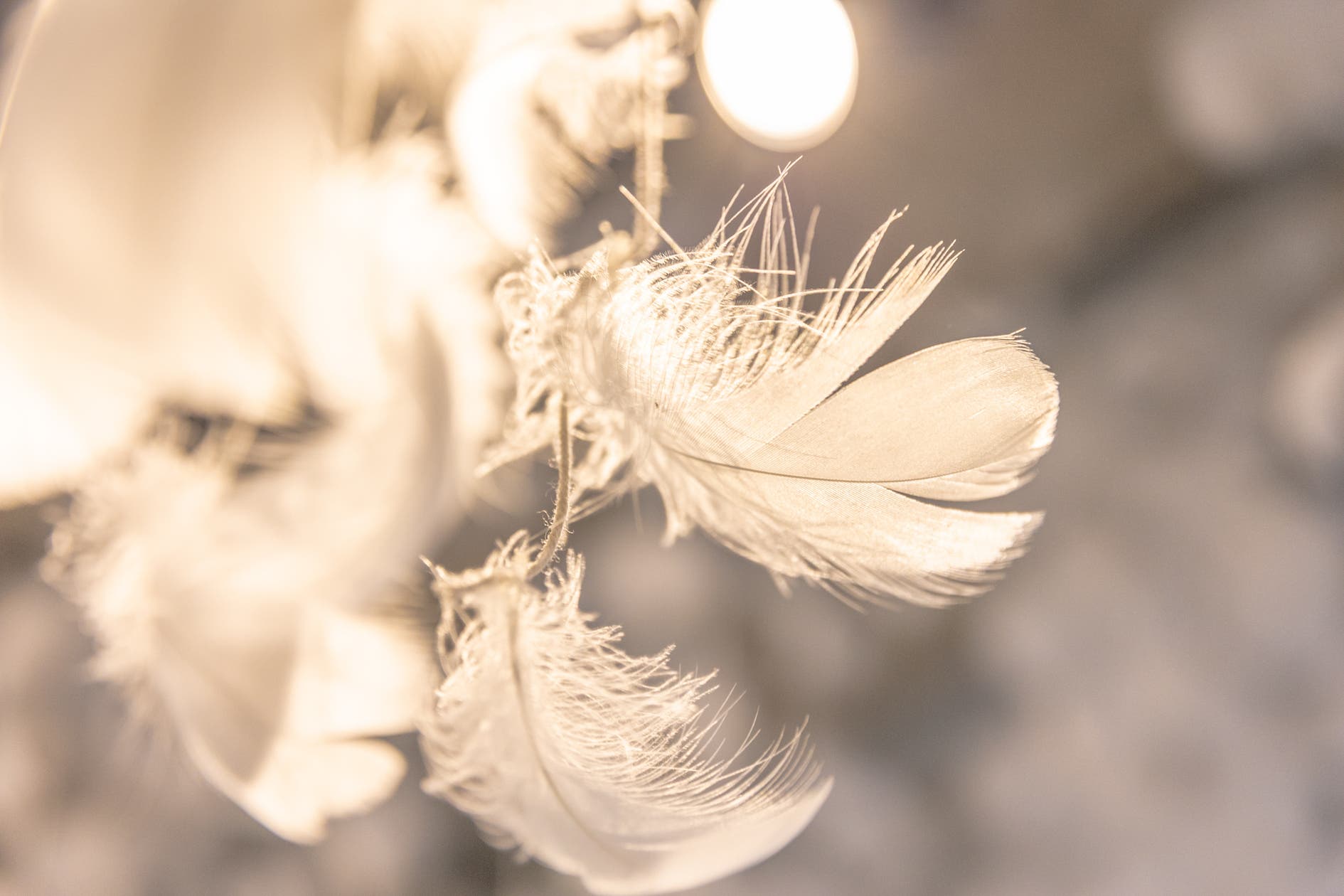 仙台NEW💖推し活💕ウエディングフォト✨記念日フォト🌟撮影スタジオの写真11