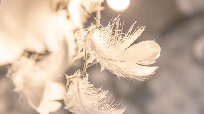 仙台NEW💖推し活💕ウエディングフォト✨記念日フォト🌟撮影スタジオの写真11