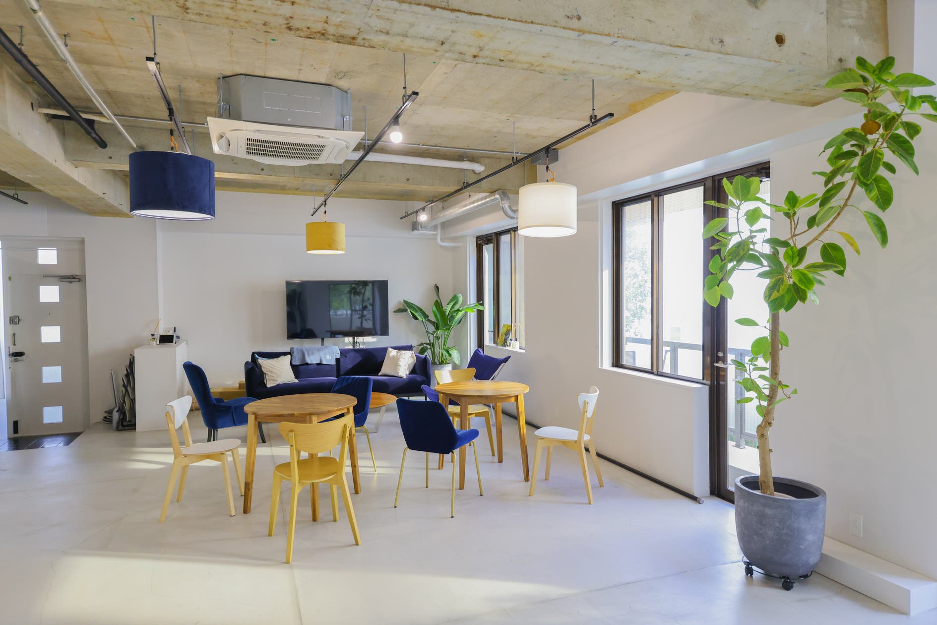 【表参道駅徒歩5分/広さ108㎡】撮影やイベント/展示会にも最適。自然光と緑が調和するまるで都心の別荘のような空間の写真5