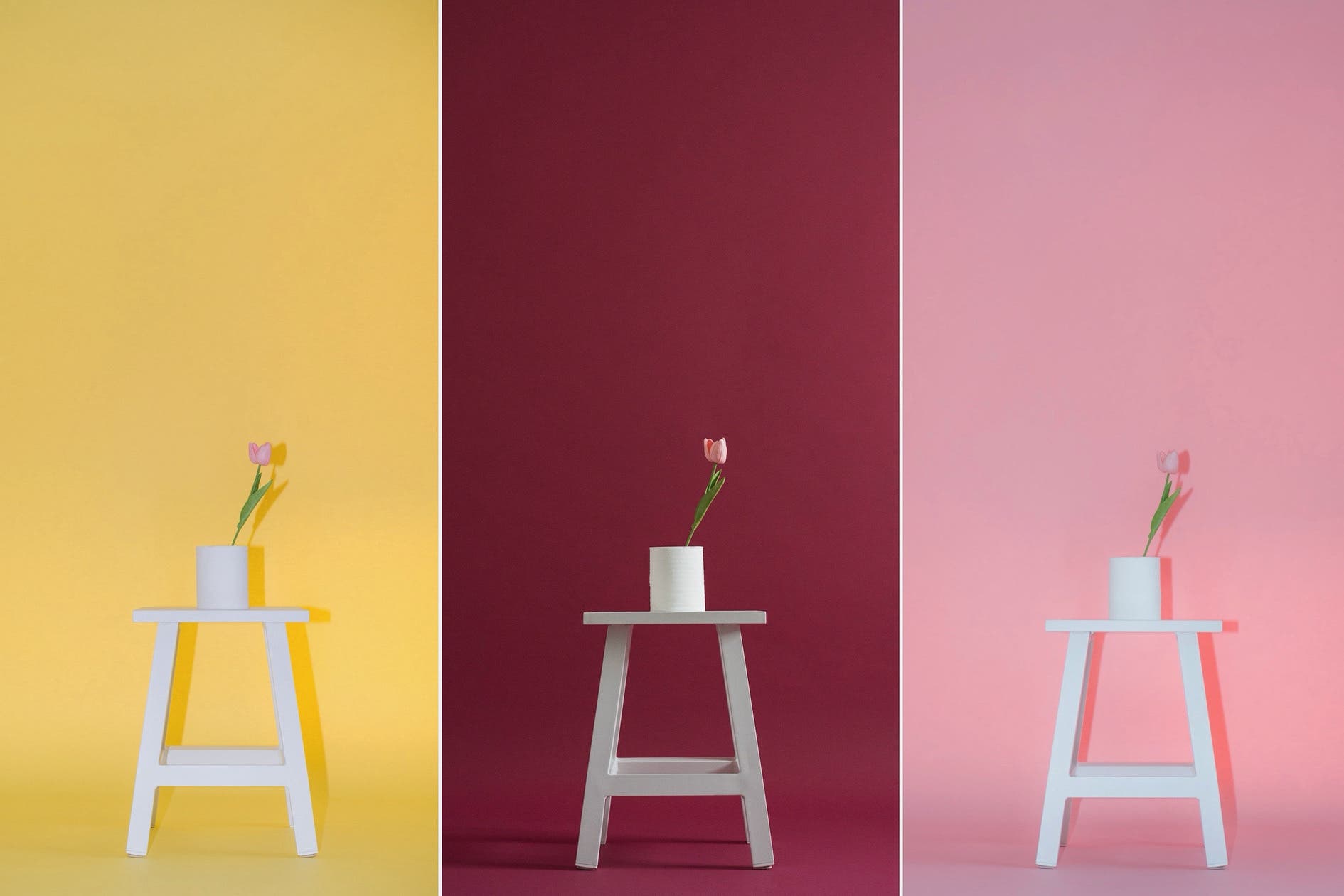 カラーバック紙の画像1