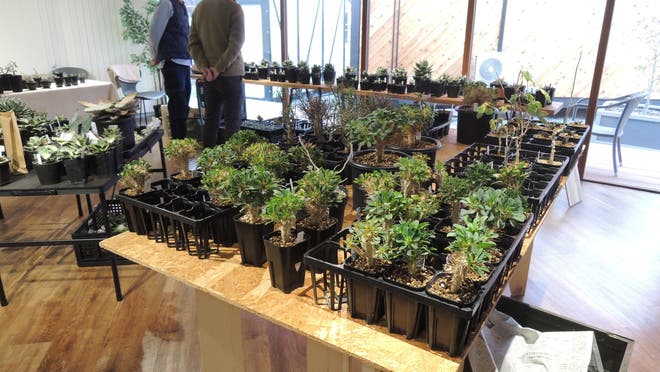 【Community】✨U-SPACE横浜南店✨プロジェクター・大鏡・キッチンなどが充実しています♪Wi-Fi/横浜市の写真13