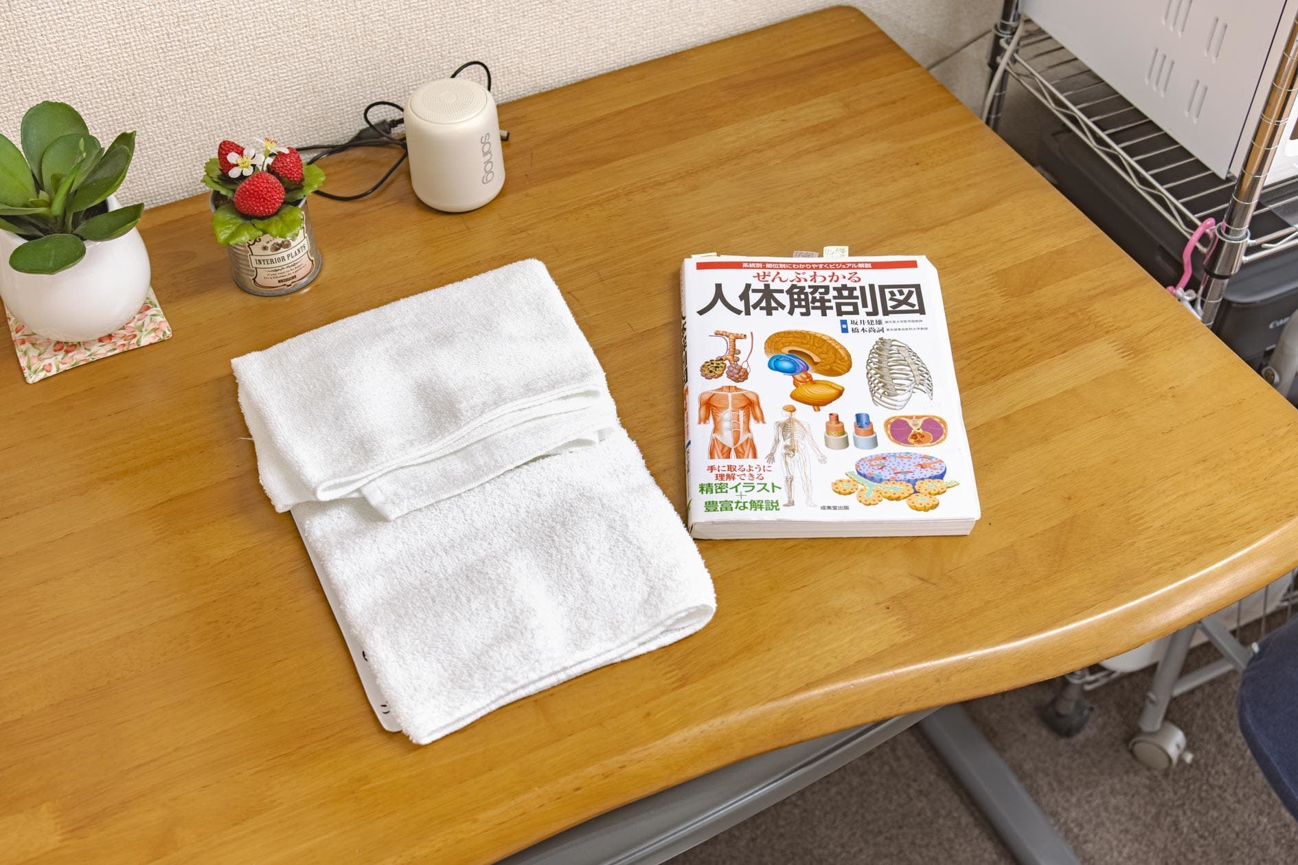 スペモ✨大久保駅徒歩1分🚶‍♀️レンタルサロン🏠ネイル💅エステ💆🏻‍♀️整体🧘🏻‍♀️591_ARKサロン大久保の写真29