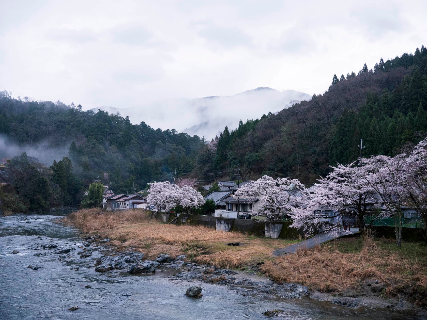 古民家フォトスタジオ｜白壁｜自然光やライティング撮影、会議、イベントなどにも｜profotoなど貸出機材有りの写真26