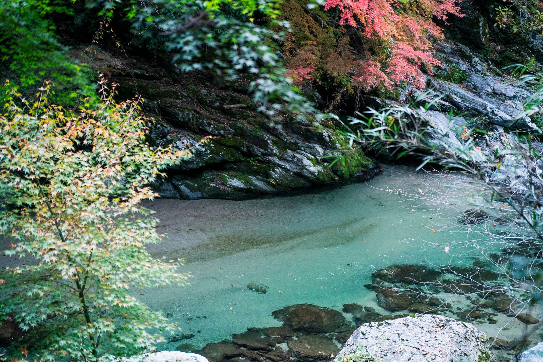 古民家フォトスタジオ｜白壁｜自然光やライティング撮影、会議、イベントなどにも｜profotoなど貸出機材有りの写真27