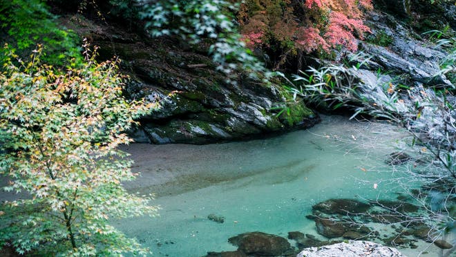 古民家フォトスタジオ|白壁|自然光やライティング撮影、会議、イベントなどにも|profotoなど貸出機材有りの写真27