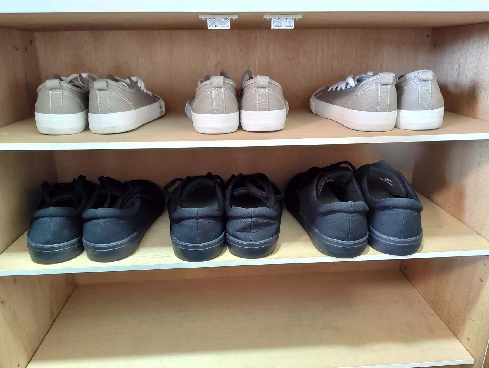 【綱島駅5分】設備充実💪清潔感✨眺望良好👀撮影OK📹パーソナル、合トレ、ソロトレ、ヨガ、ピラティスの写真14