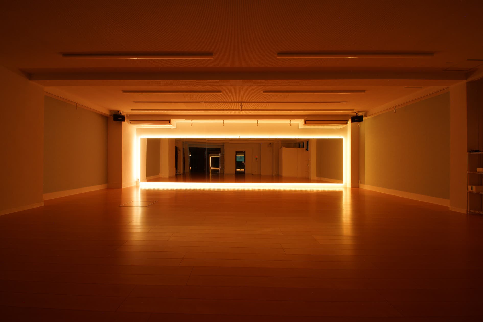 【無料】ミラーライトの画像1