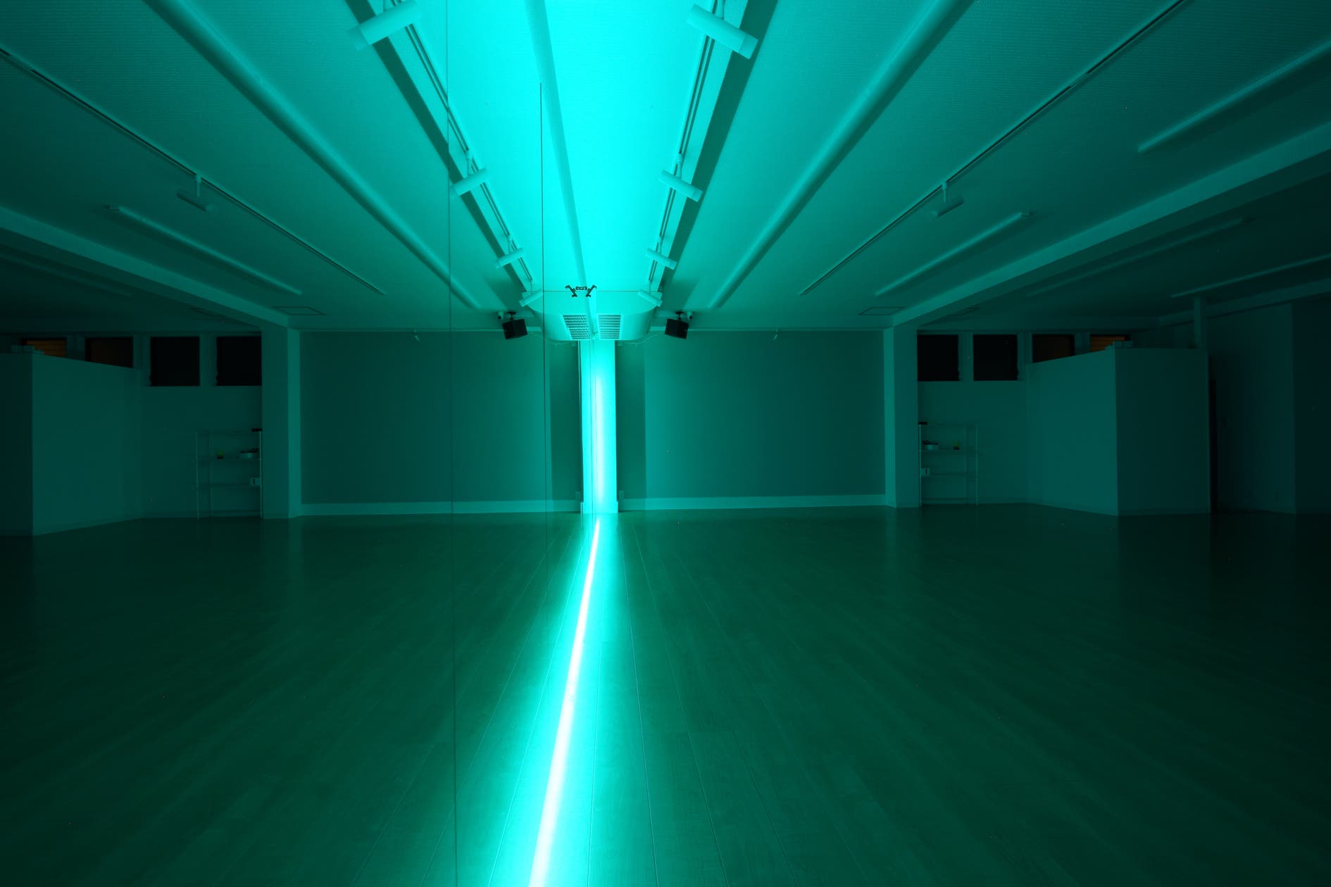 【無料】ミラーライトの画像2