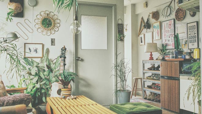 100種類以上の植物が溢れる都心のグリーンルーム【シーユートゥモロウ】の写真3