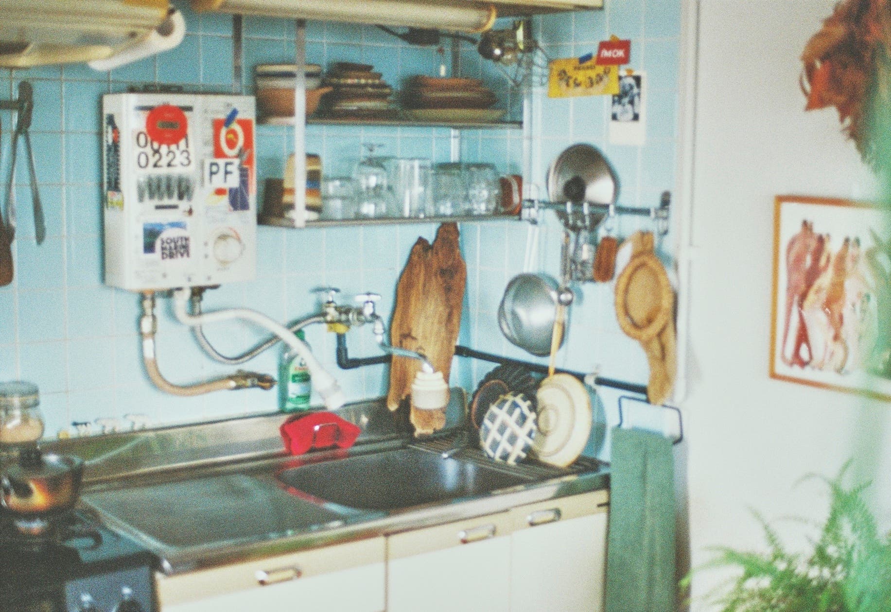 100種類以上の植物が溢れる都心のグリーンルーム【シーユートゥモロウ】の写真5