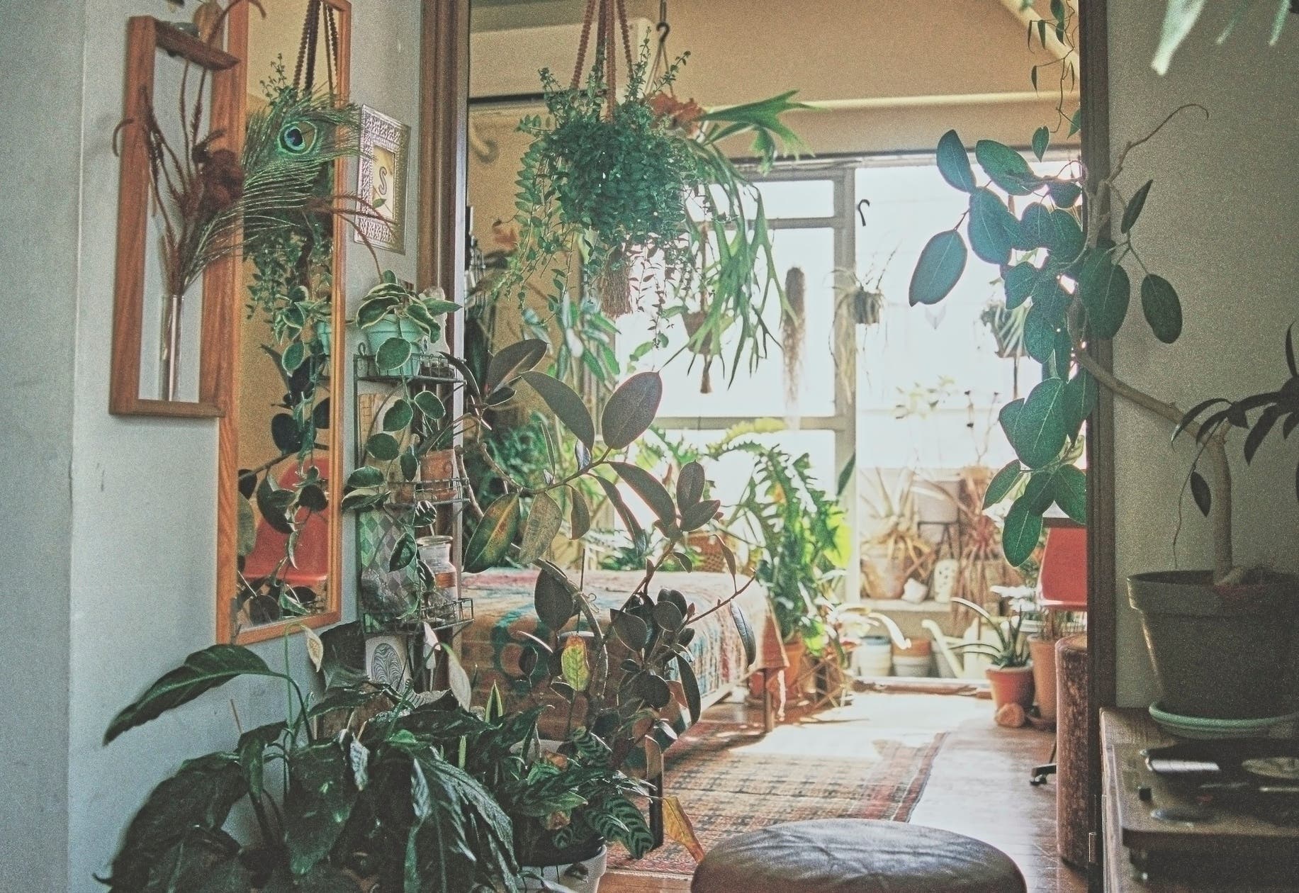 100種類以上の植物が溢れる都心のグリーンルーム【シーユートゥモロウ】の写真7