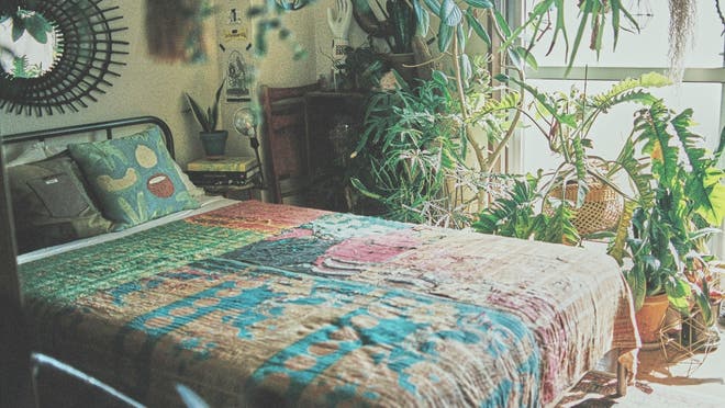 100種類以上の植物が溢れる都心のグリーンルーム【シーユートゥモロウ】の写真8