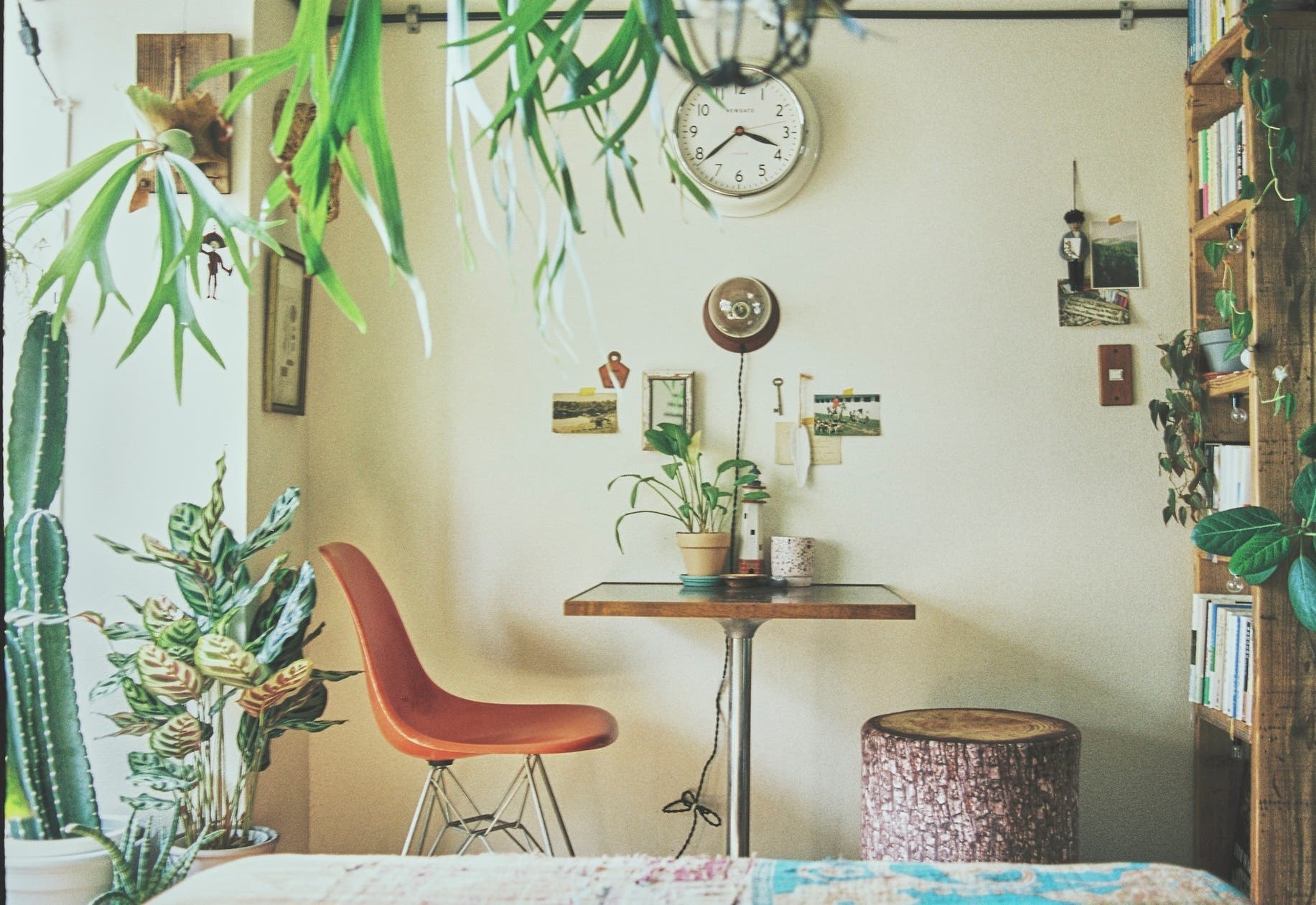 100種類以上の植物が溢れる都心のグリーンルーム【シーユートゥモロウ】の写真9