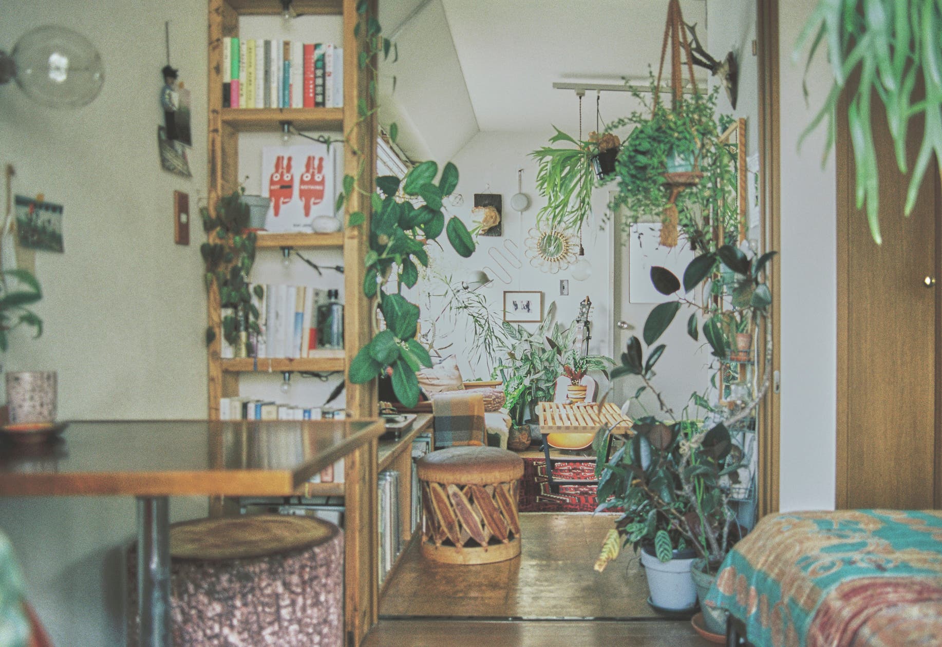 100種類以上の植物が溢れる都心のグリーンルーム【シーユートゥモロウ】の写真12