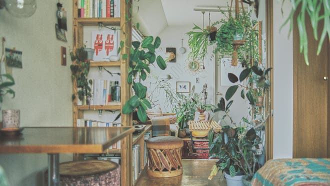 100種類以上の植物が溢れる都心のグリーンルーム【シーユートゥモロウ】の写真12