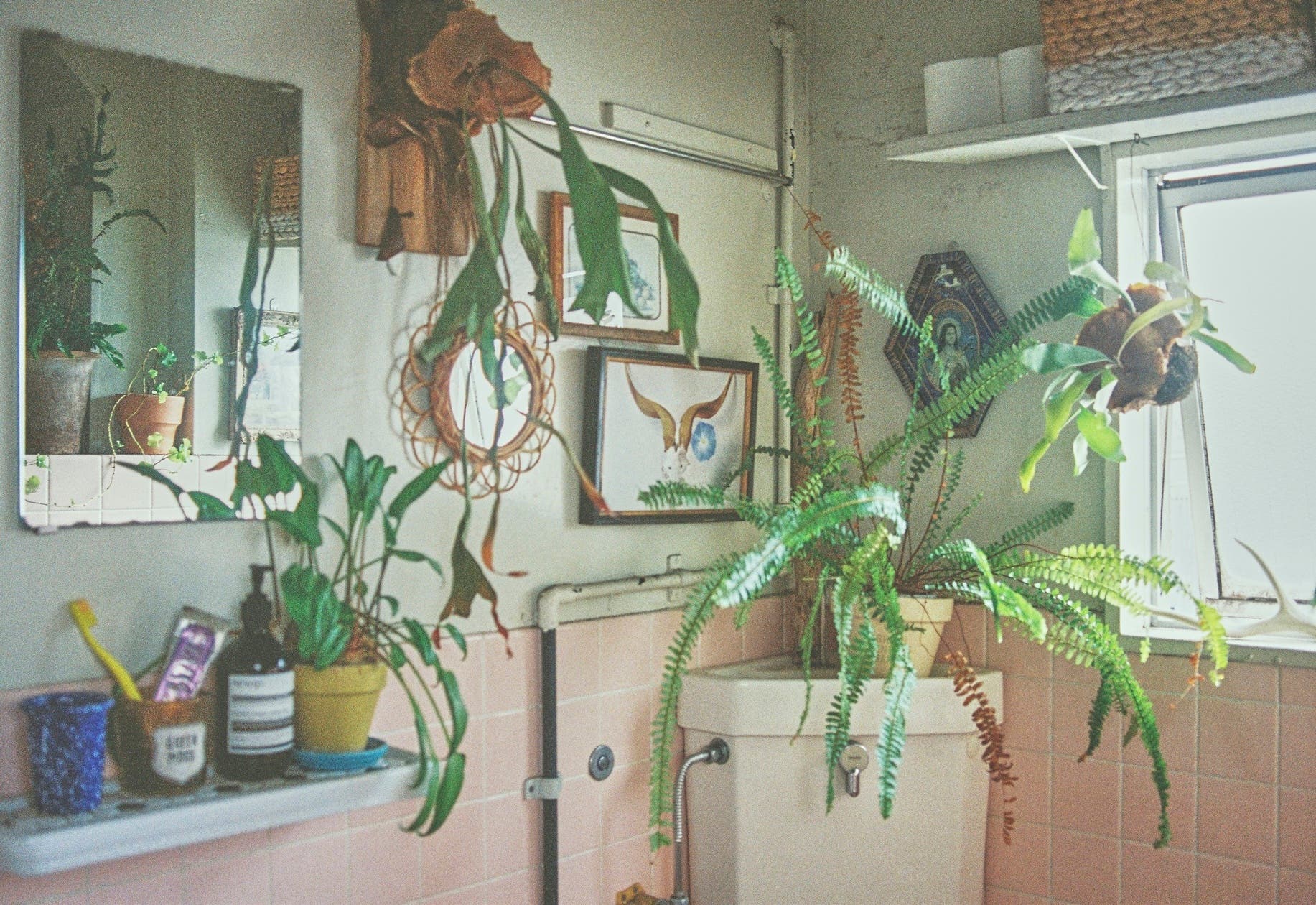 100種類以上の植物が溢れる都心のグリーンルーム【シーユートゥモロウ】の写真13