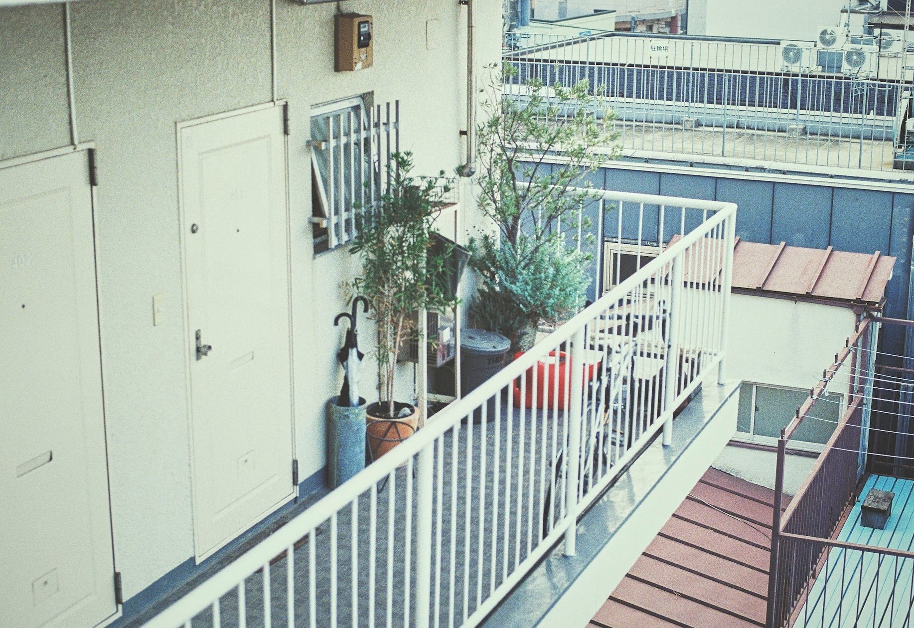 100種類以上の植物が溢れる都心のグリーンルーム【シーユートゥモロウ】の写真15