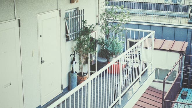 100種類以上の植物が溢れる都心のグリーンルーム【シーユートゥモロウ】の写真15