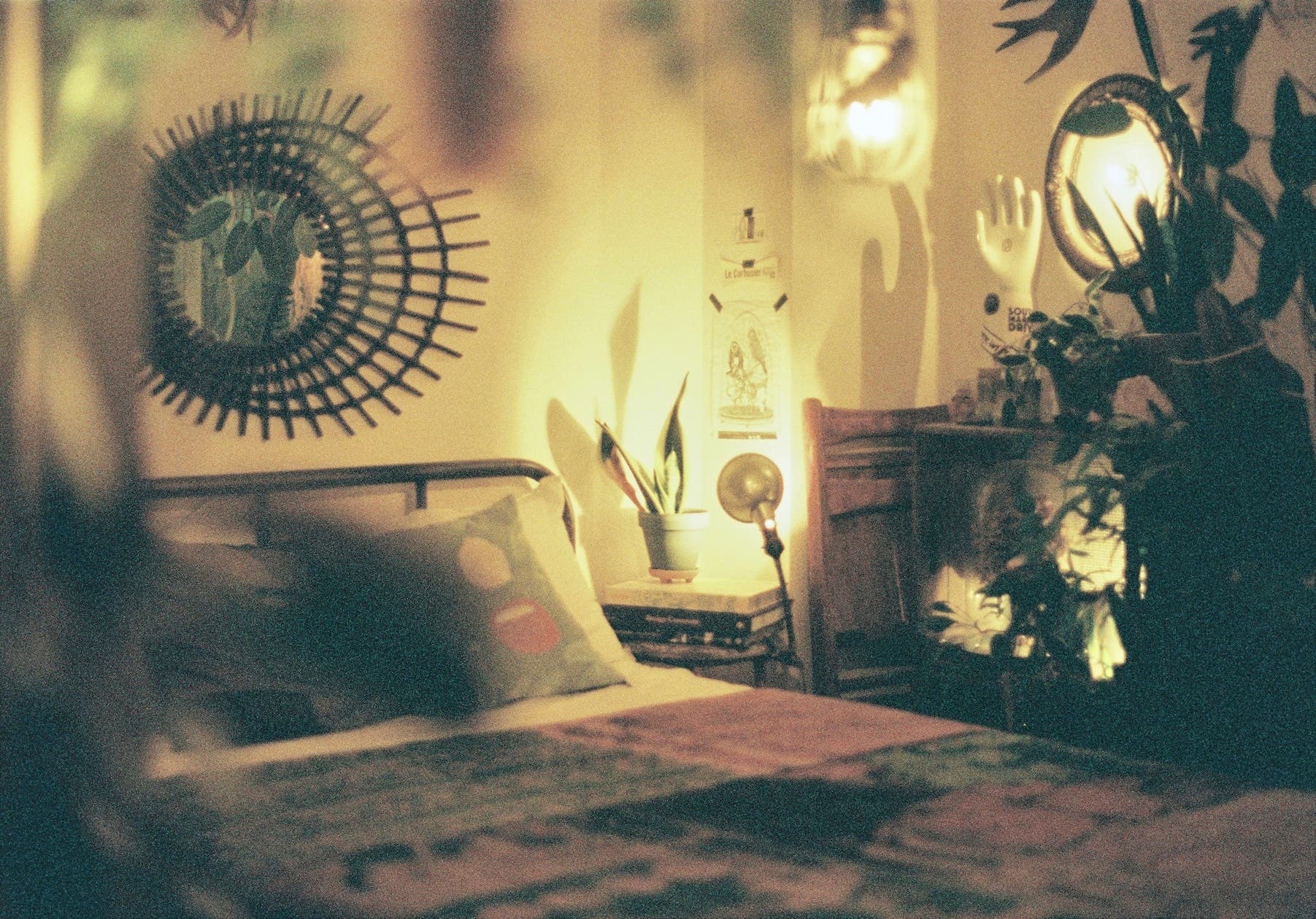 100種類以上の植物が溢れる都心のグリーンルーム【シーユートゥモロウ】の写真17