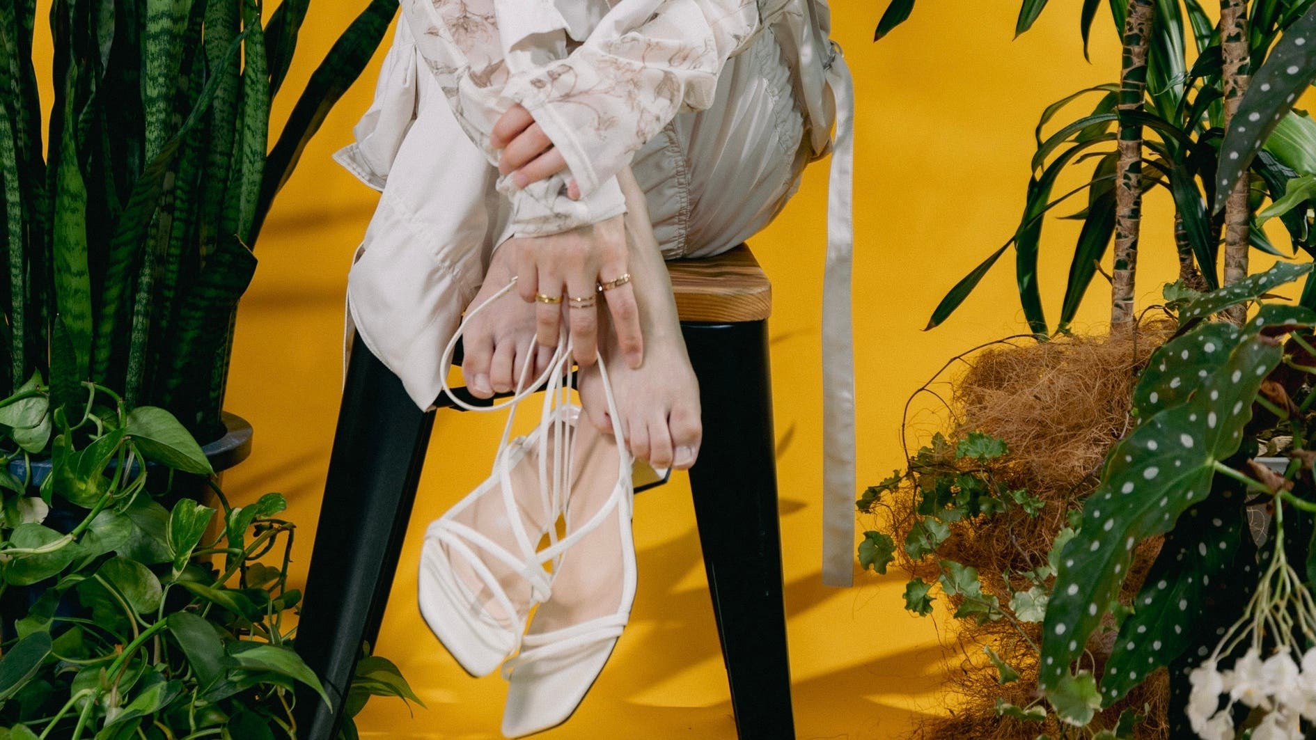 大阪の植物あふれる撮影スタジオ！レイアウト自由なグリーンを活かした多様な撮影！の写真7