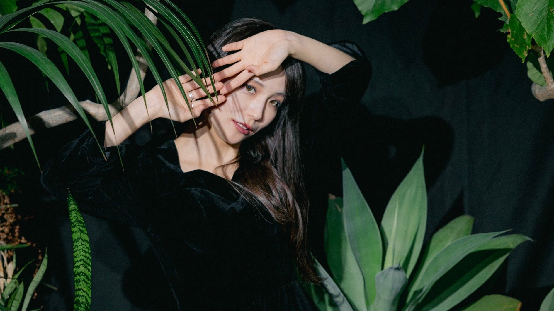 大阪の植物あふれる撮影スタジオ！レイアウト自由なグリーンを活かした多様な撮影！の写真13