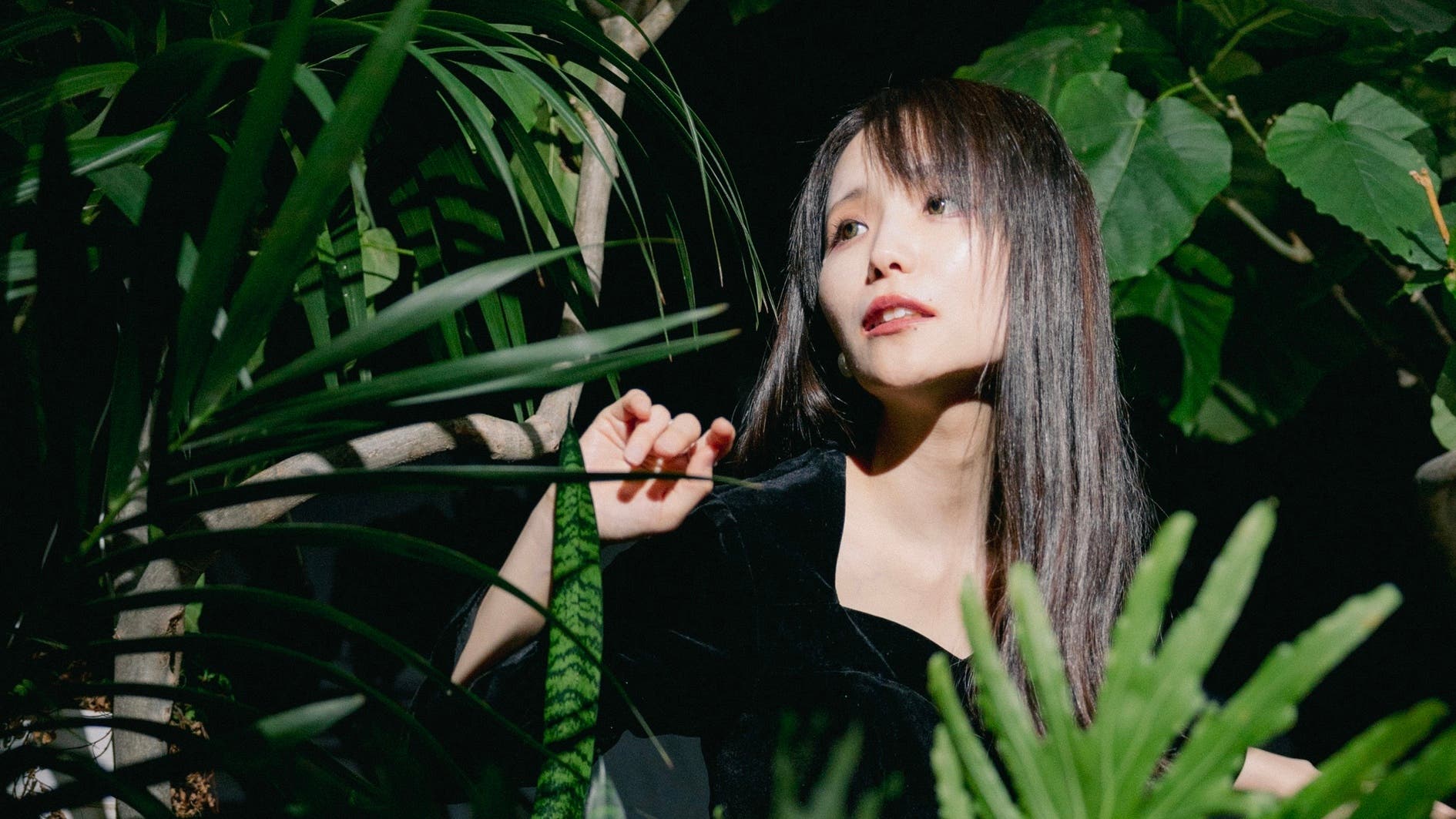 大阪の植物あふれる撮影スタジオ！レイアウト自由なグリーンを活かした多様な撮影！の写真14