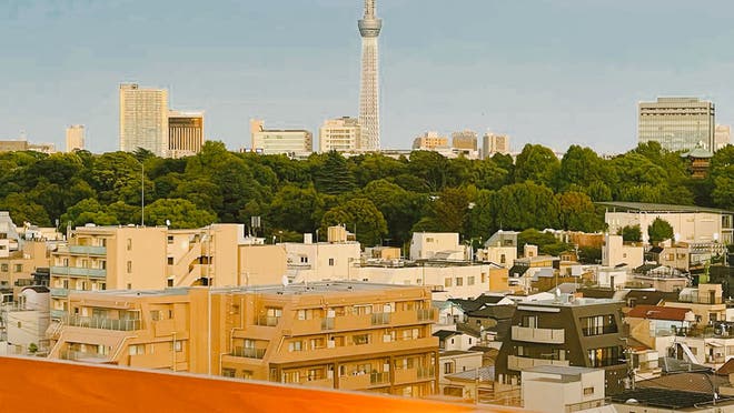 【上野×東大×谷根千×御茶ノ水】根津駅1分🚶♂️絶景イベントBBQ会場🍷スカイツリー&花火🎆20名対応👬撮影/ロケの写真22