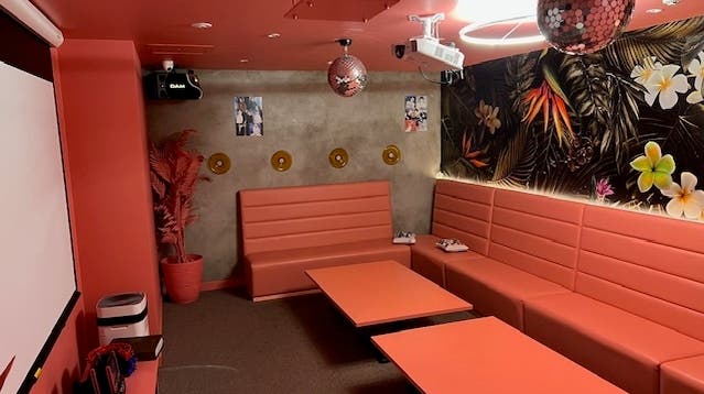 ❤️🔥収容20名🫢女子会🎀推し活🎤韓国料理も食べれるカラオケVIPルーム!の写真1