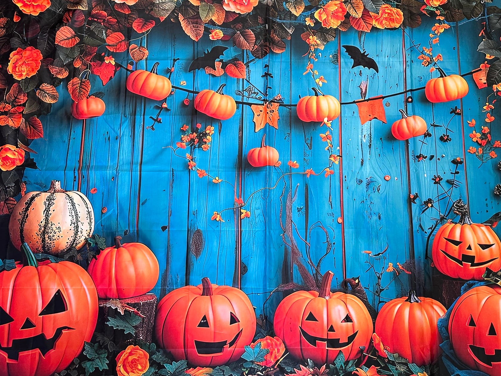 下鴨神社近く撮影スタジオ202の写真7