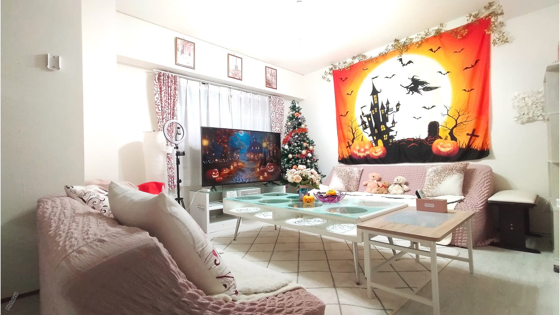 【西葛西駅2分】55型AndroidTV/撮影/ボドゲ/鑑賞会/女子会/コスプレ/飲み会/デート/観戦の写真26