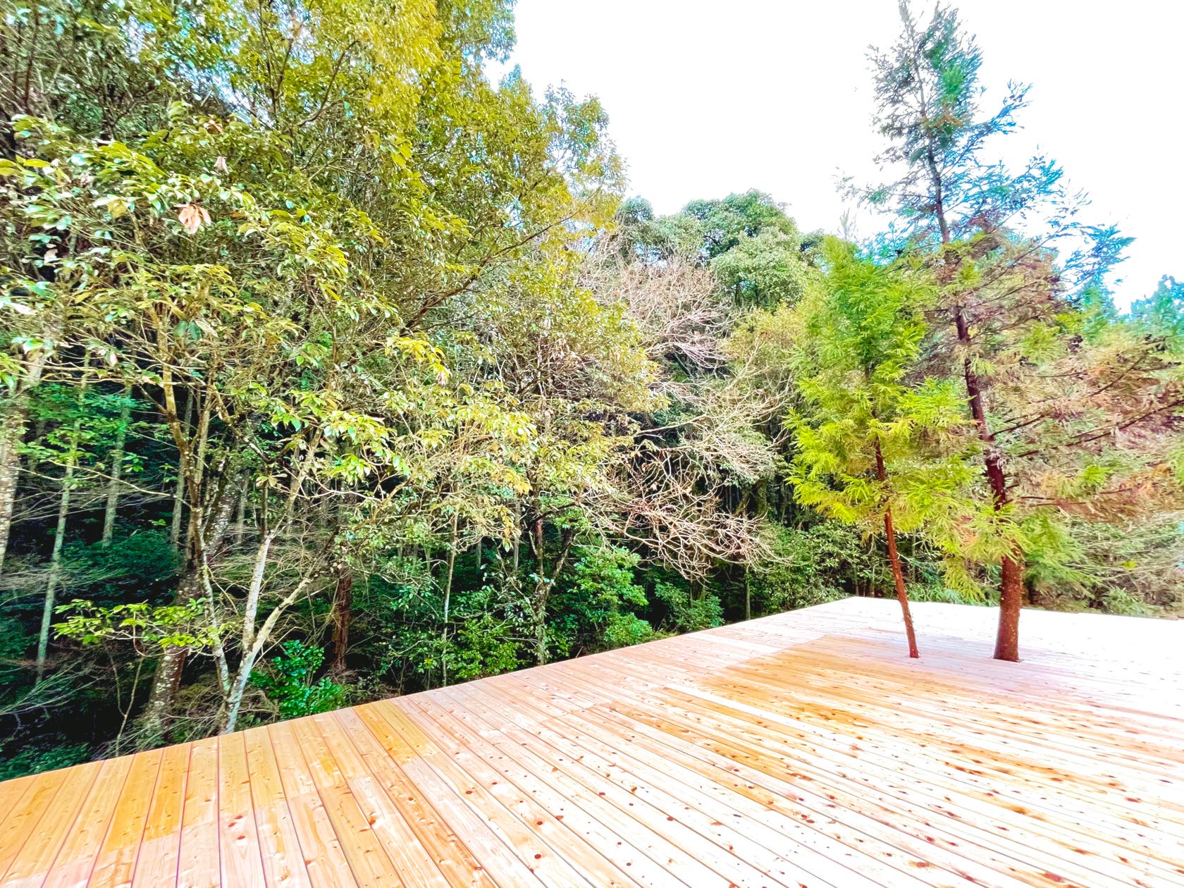 名古屋から１時間　《森の中のレンタルスペース》　の写真2